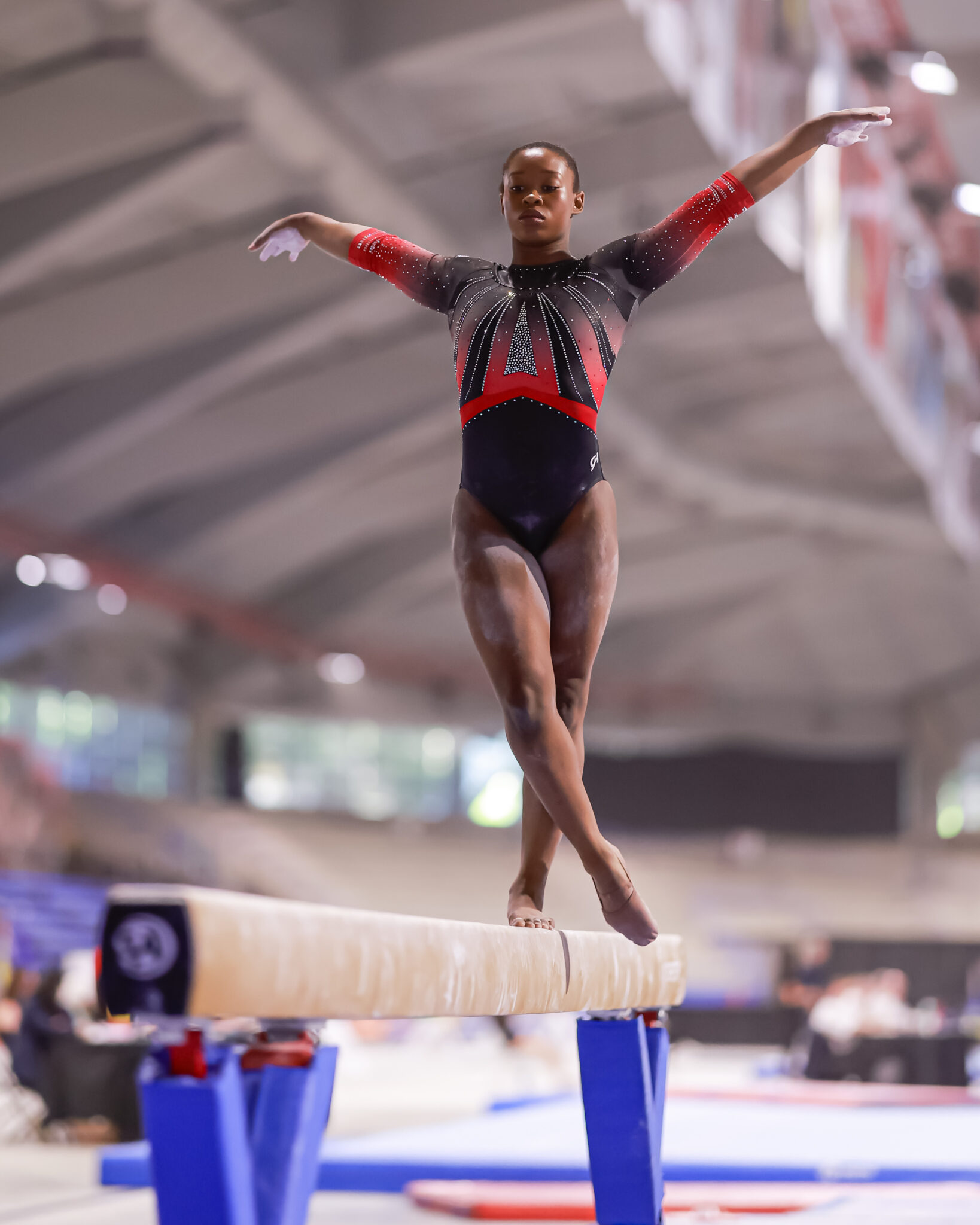 Unforgettable Performances Close Out the 2025 Canadian Gymnastics ...